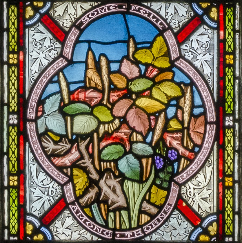 Oremus for Wednesday, September 8, 2021 – Oremus